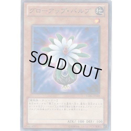 〔状態B〕グローアップバルブ【ゴールドシークレット】{GP16-JP001}《モンスター》