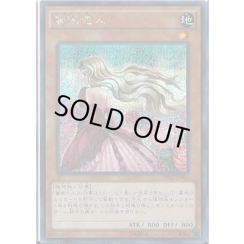 〔状態A-〕薔薇恋人【シークレット】{PP17-JP003}《モンスター》