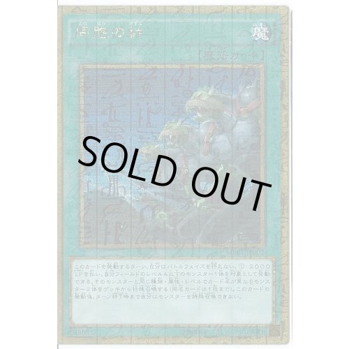 同胞の絆【ノーマルパラレル】{SR05-JP030}《魔法》