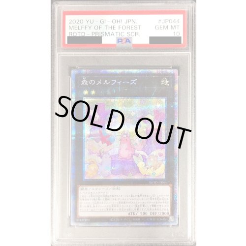 〔PSA10鑑定済〕森のメルフィーズ【プリズマティックシークレット】{ROTD-JP044}《エクシーズ》