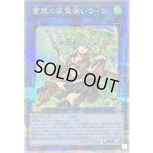 〔状態B〕蒼翠の風霊使いウィン【クォーターセンチュリーシークレット】{QCCU-JP188}《リンク》